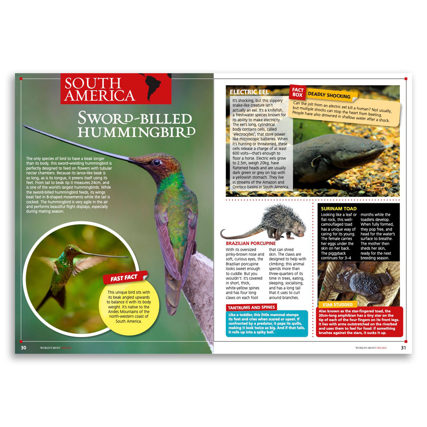 World’s Most Freaky — Australian Geographic