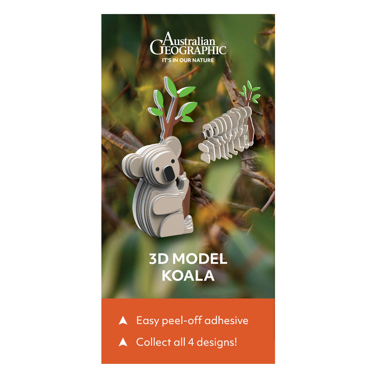 3D Koala Model Kit for Kids — Australian Geographic