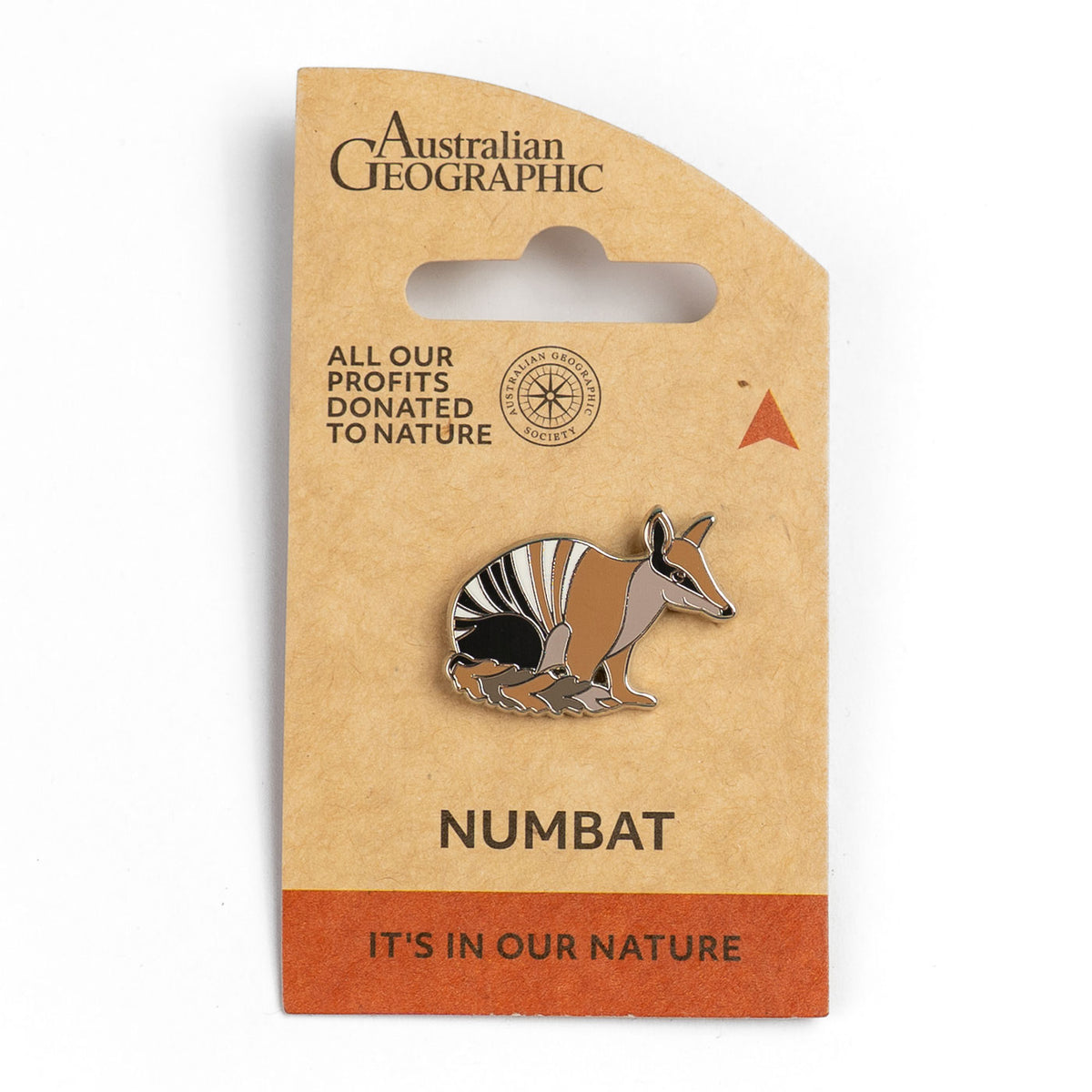 Numbat Wildlife Gift Lapel Pin — Australian Geographic