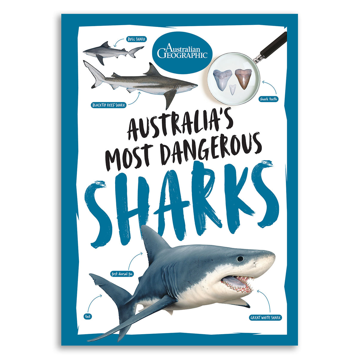 Australia's Most Dangerous Sharks — Australian Geographic