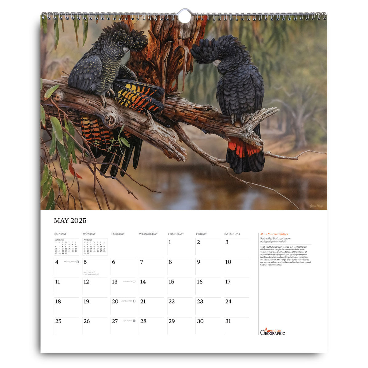 Australian Geographic Shop | Educational Toys, Telescopes and more