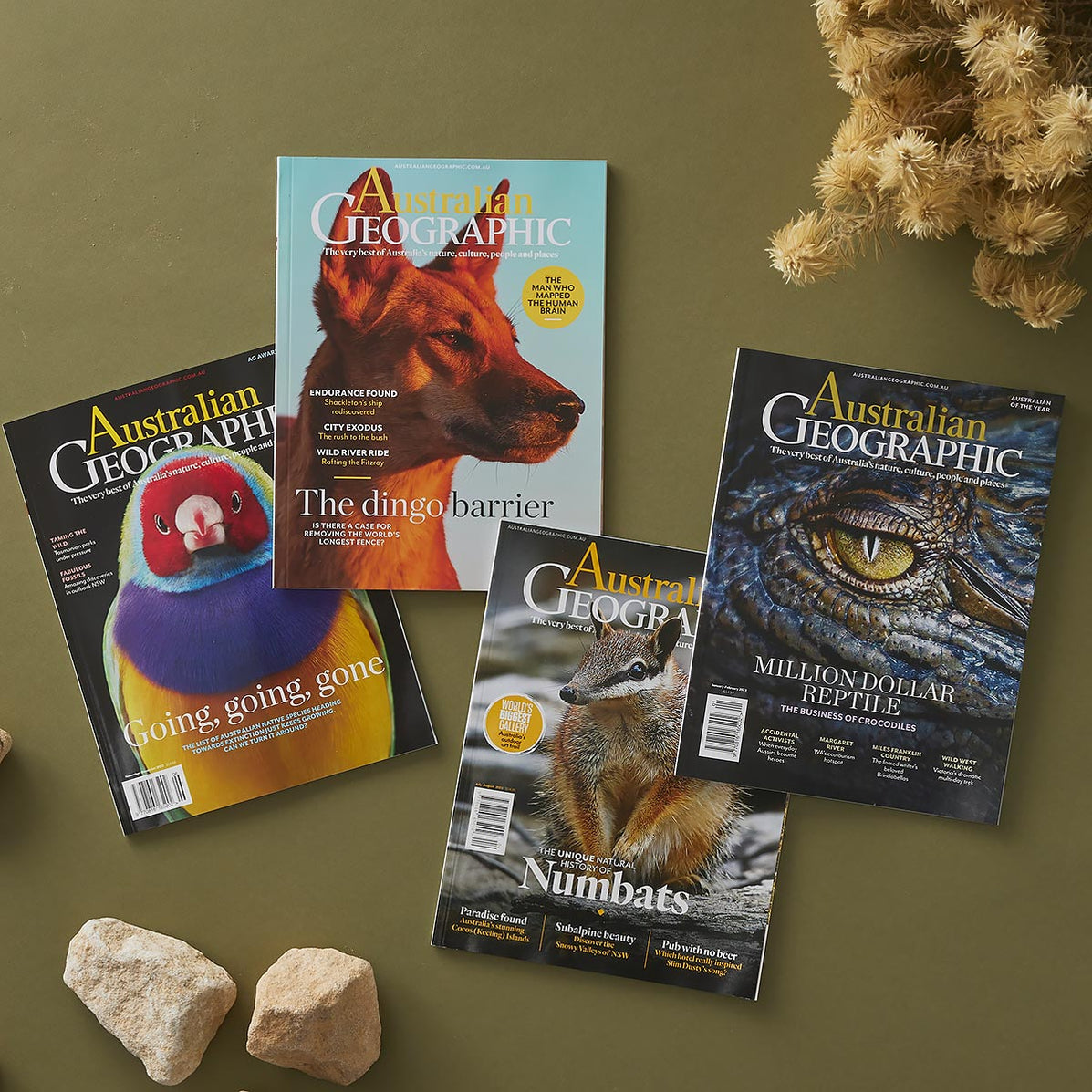 Australian Geographic 1 Year (6 PLUS 2 BONUS ISSUES) Gift Subscription