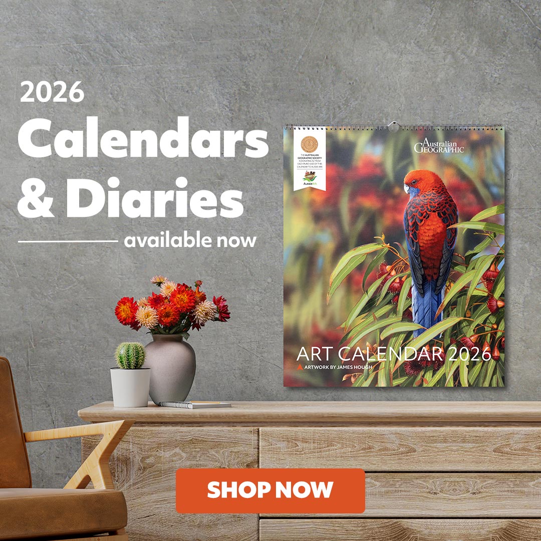 Australian Geographic Shop | Educational Toys, Telescopes and more