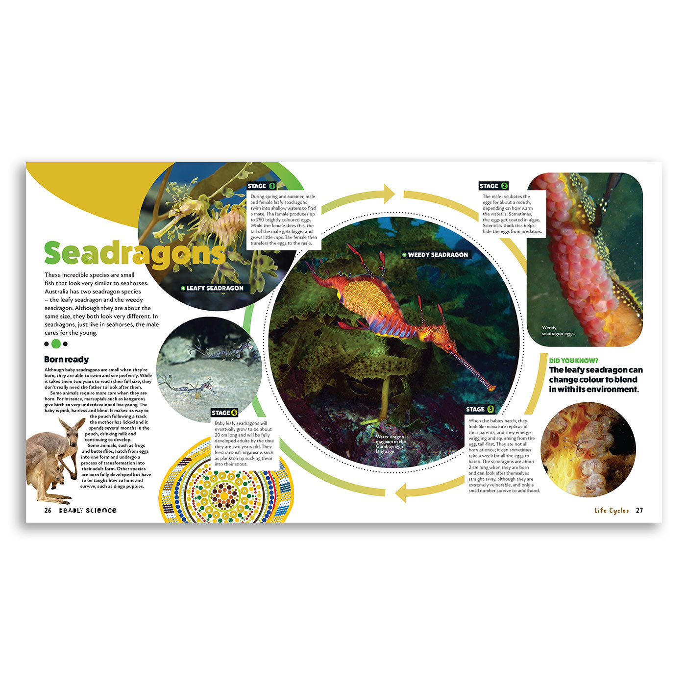Deadly Science Life Cycles Book — Australian Geographic