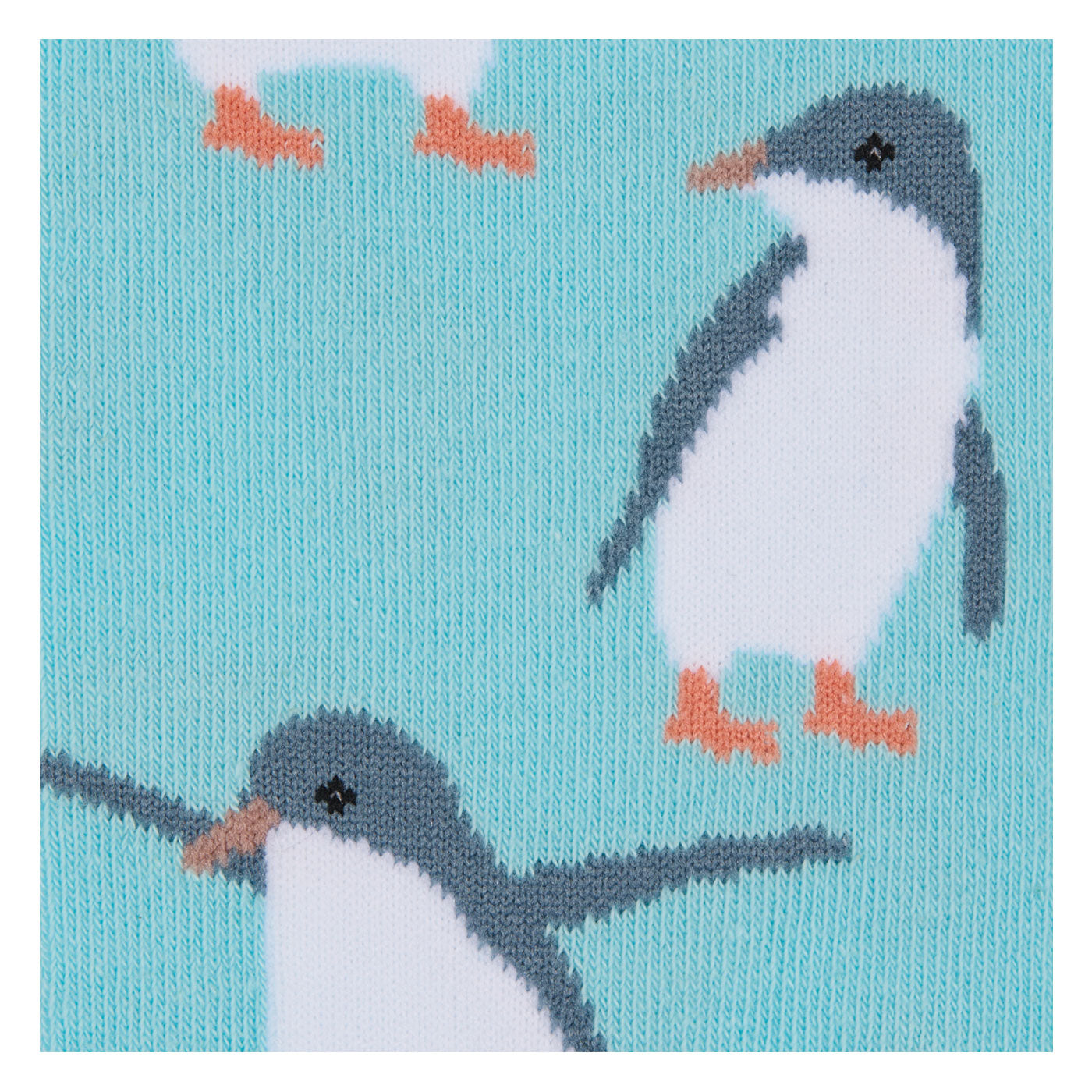 Sydney Sock Project Fairy Penguin Adult Socks — Australian Geographic