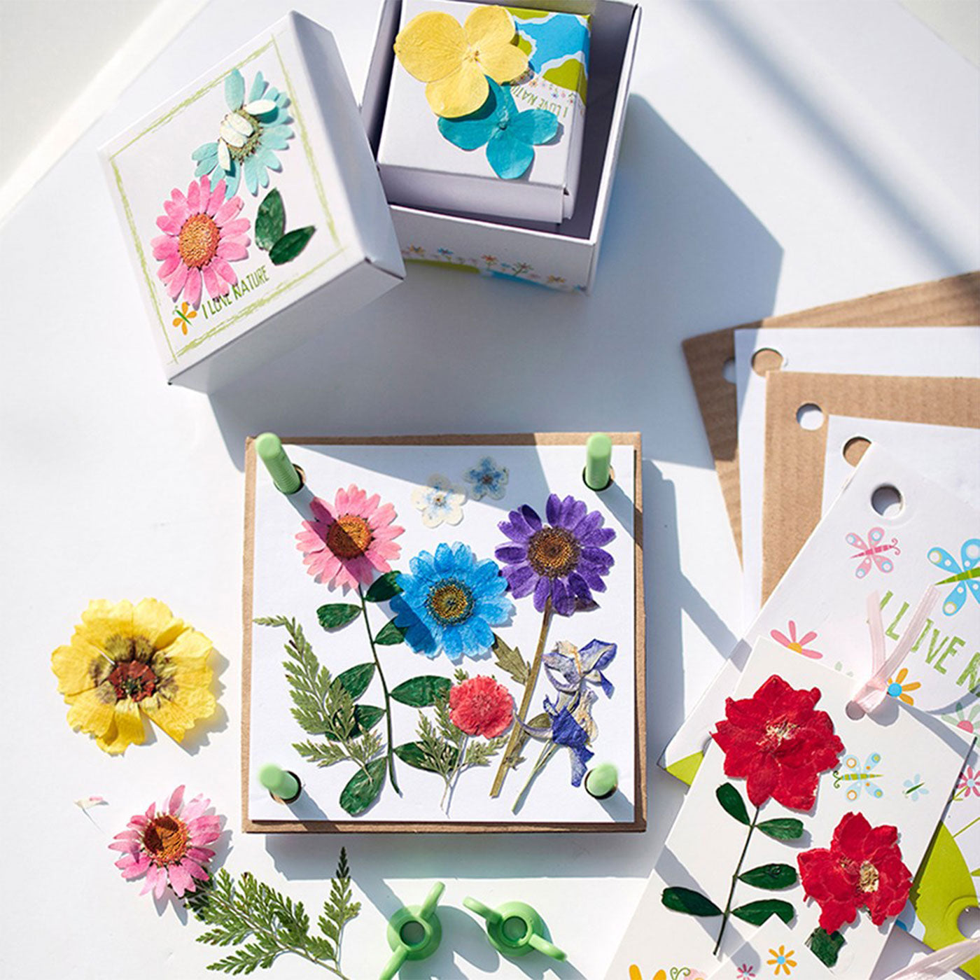 4M: Green Science - Pressed Flower Art — Australian Geographic