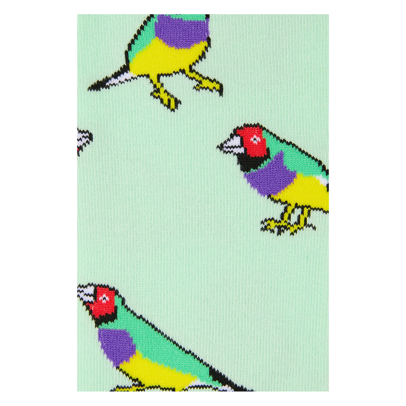 Sydney Sock Project Gouldian Finch Adult Socks — Australian Geographic