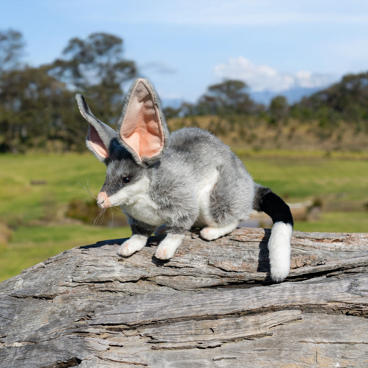 Hansa Bilby - 30cm - Soft Plush Toy | Australian Geographic