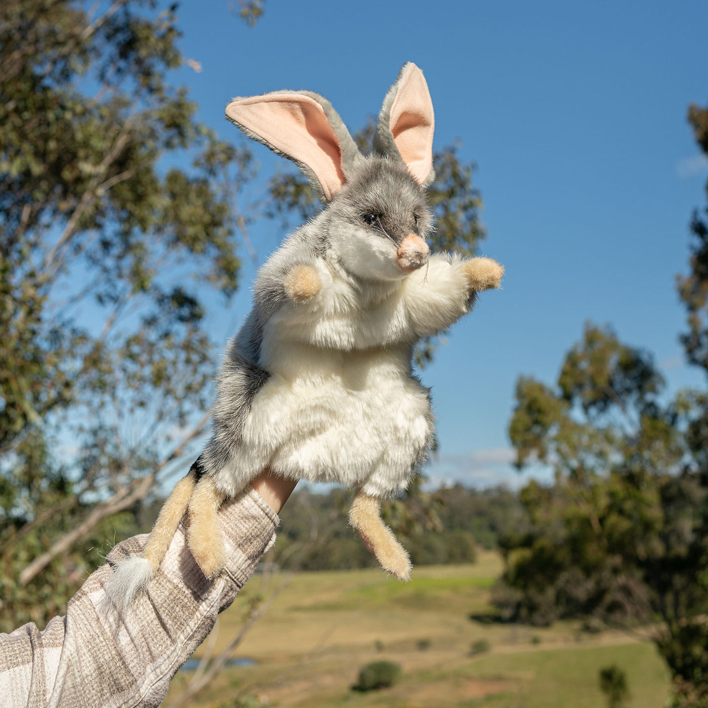 Kids' Plush & Soft Toys - Australian Geographic