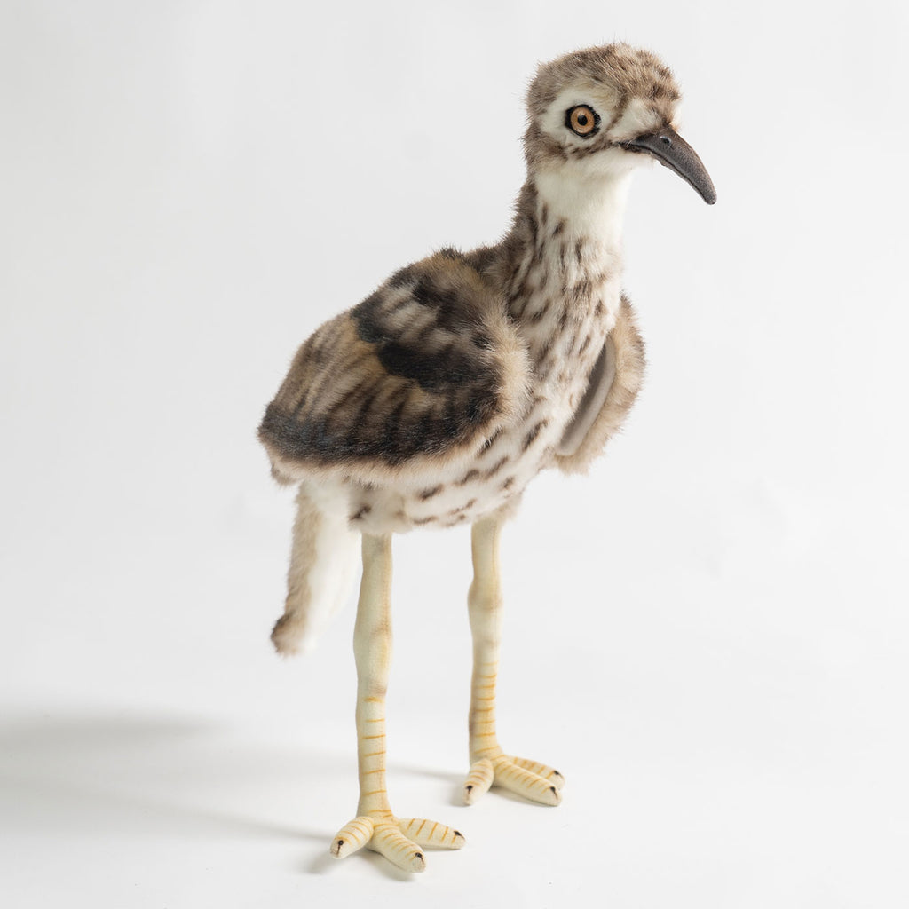 Hansa Puppets — Australian Geographic