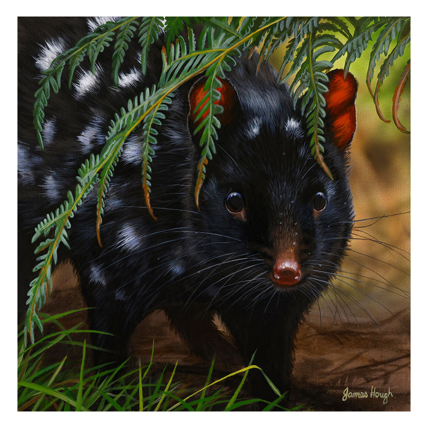 Jigsaw Puzzles – Australian Geographic