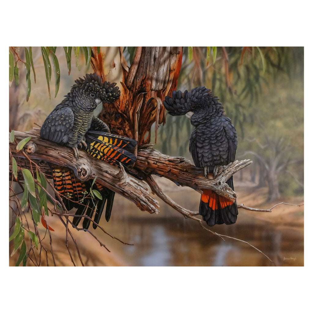 Jigsaw Puzzles – Australian Geographic