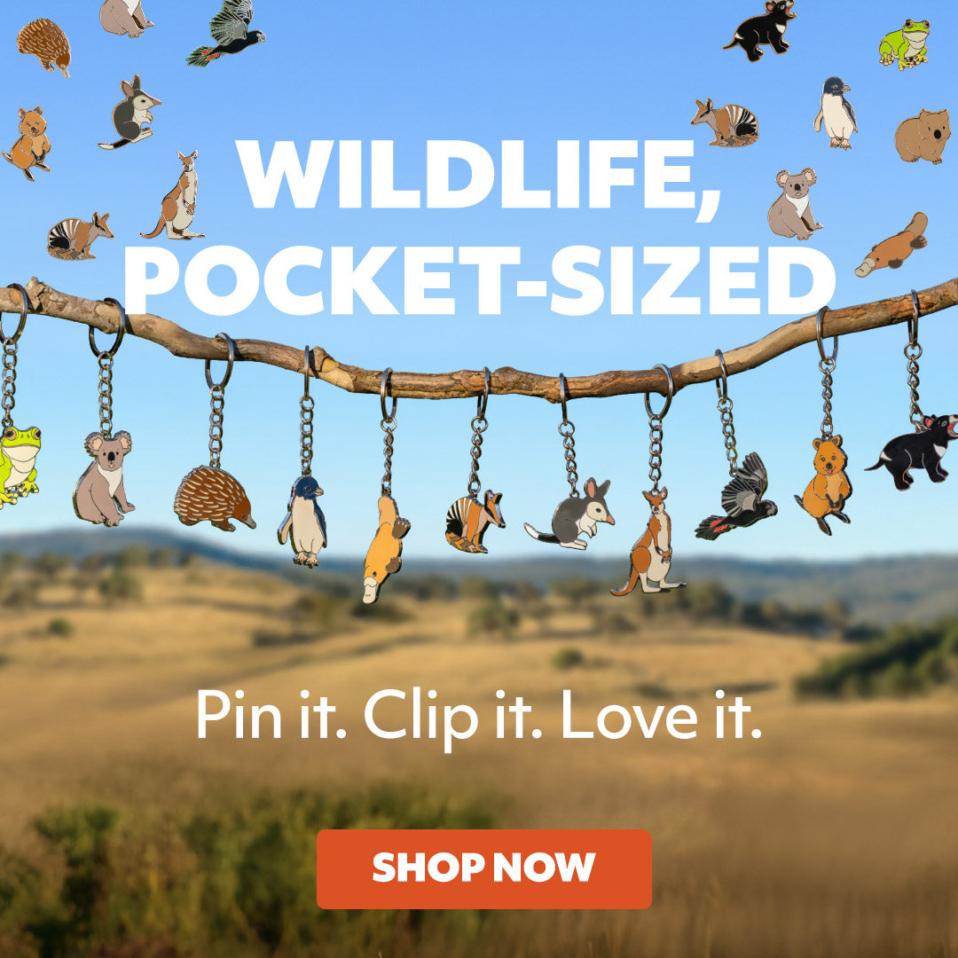Australian Geographic Shop | Educational Toys, Telescopes and more