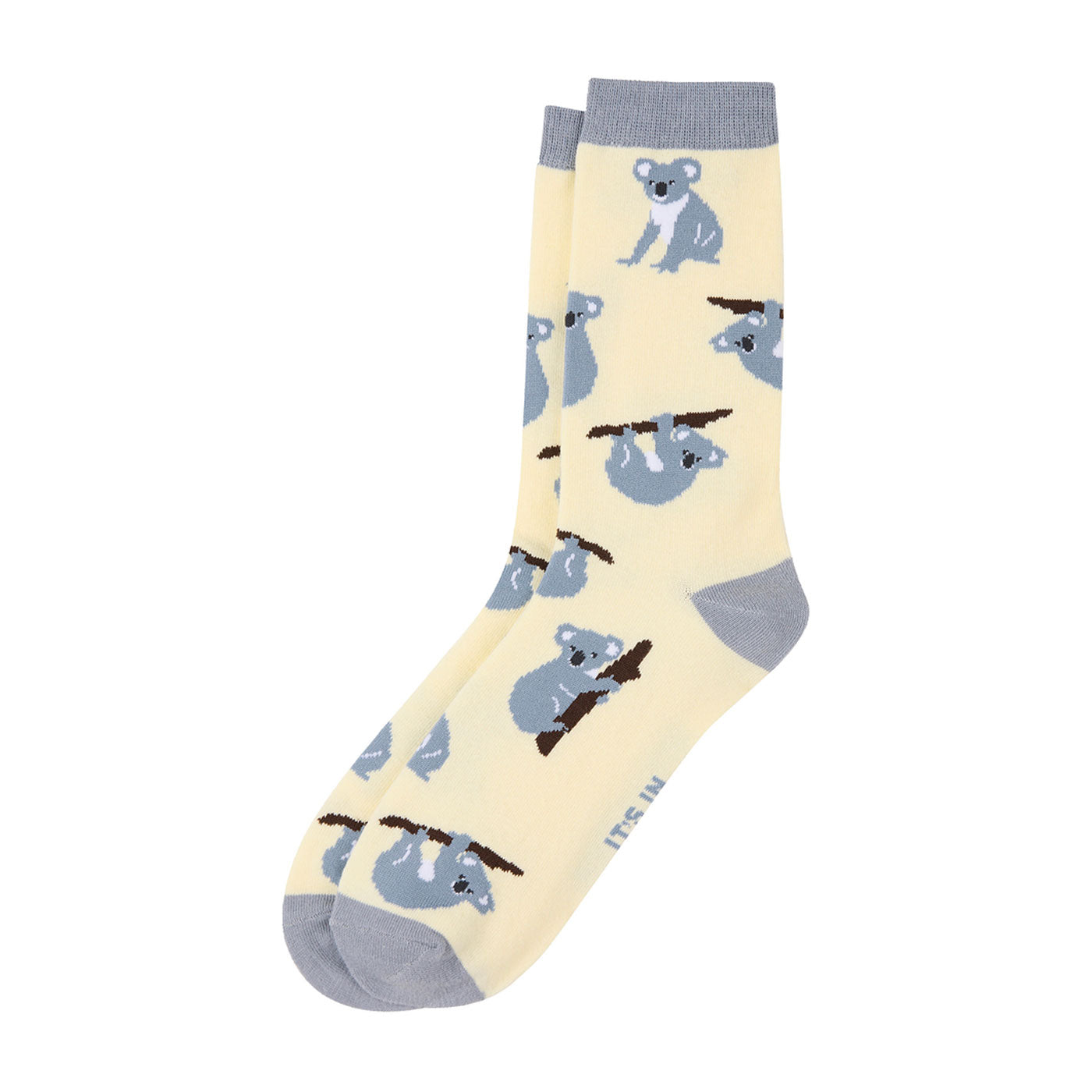 Sydney Sock Project Koala Adult Socks — Australian Geographic