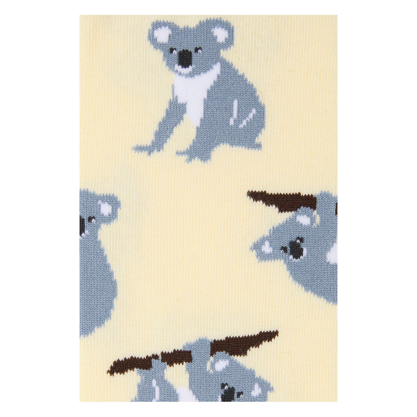 Sydney Sock Project Koala Adult Socks — Australian Geographic