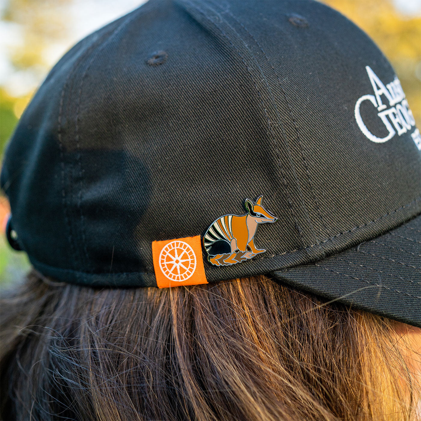 Numbat Wildlife Gift Lapel Pin — Australian Geographic