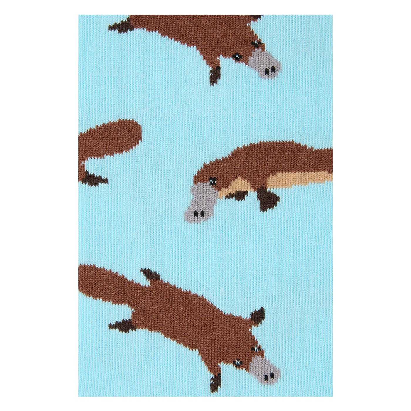 Sydney Sock Project Platypus Adult Socks — Australian Geographic