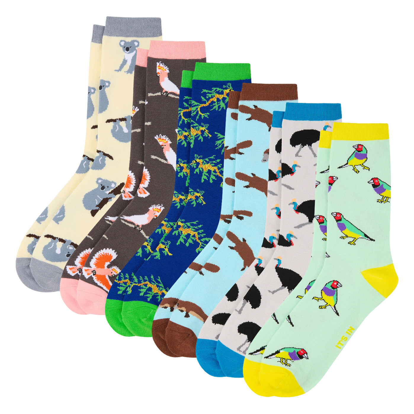 Sydney Sock Project Animal Socks | Australian Geographic