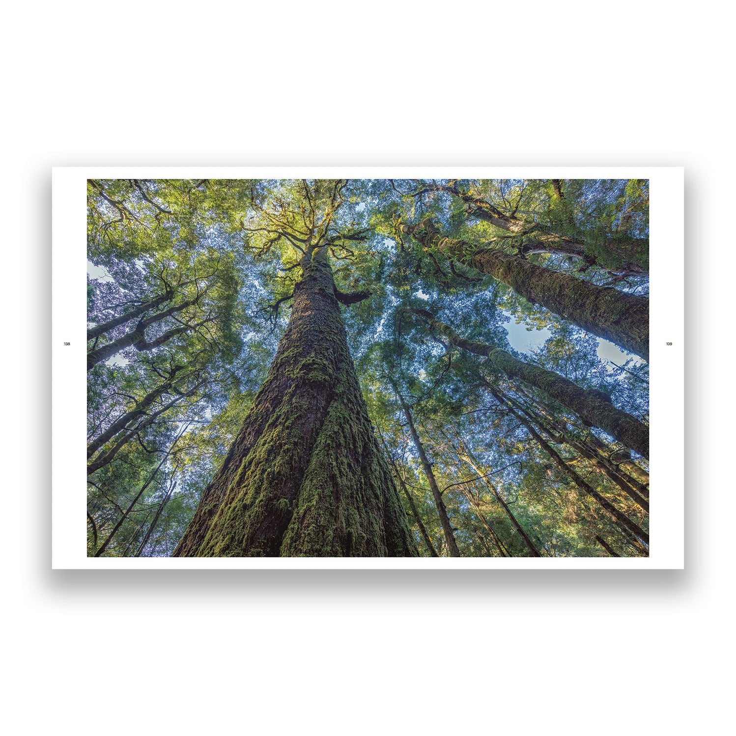 takayna | TARKINE - One of the last wild places on Earth — Australian ...