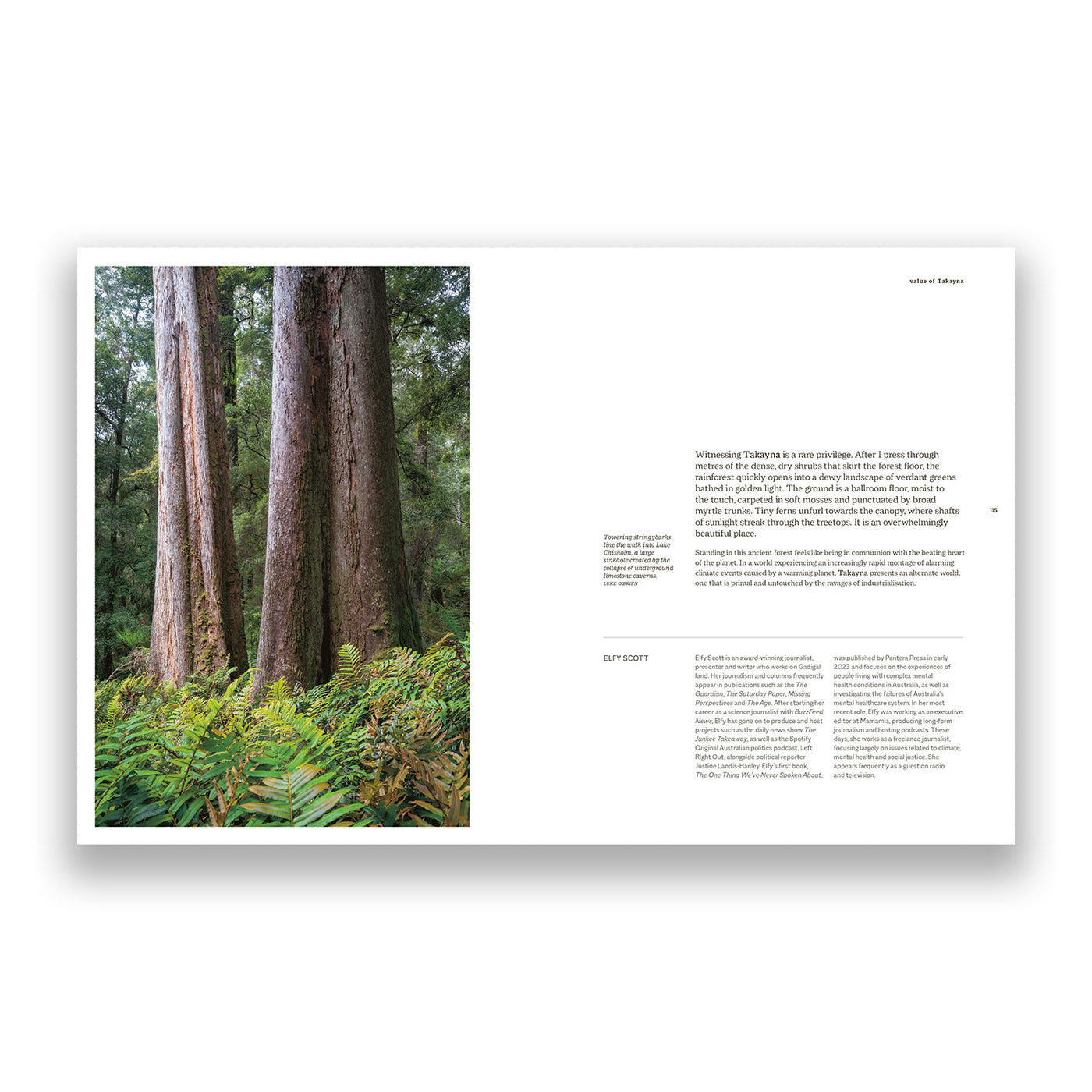 takayna | TARKINE - One of the last wild places on Earth — Australian ...