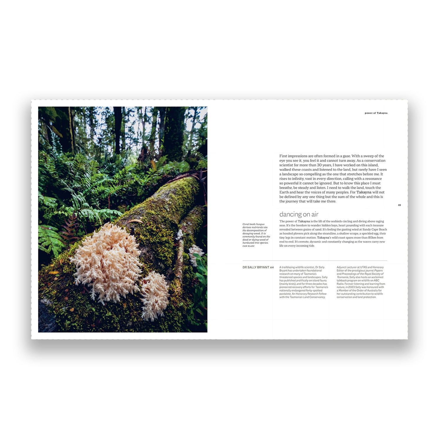 takayna | TARKINE - One of the last wild places on Earth — Australian ...