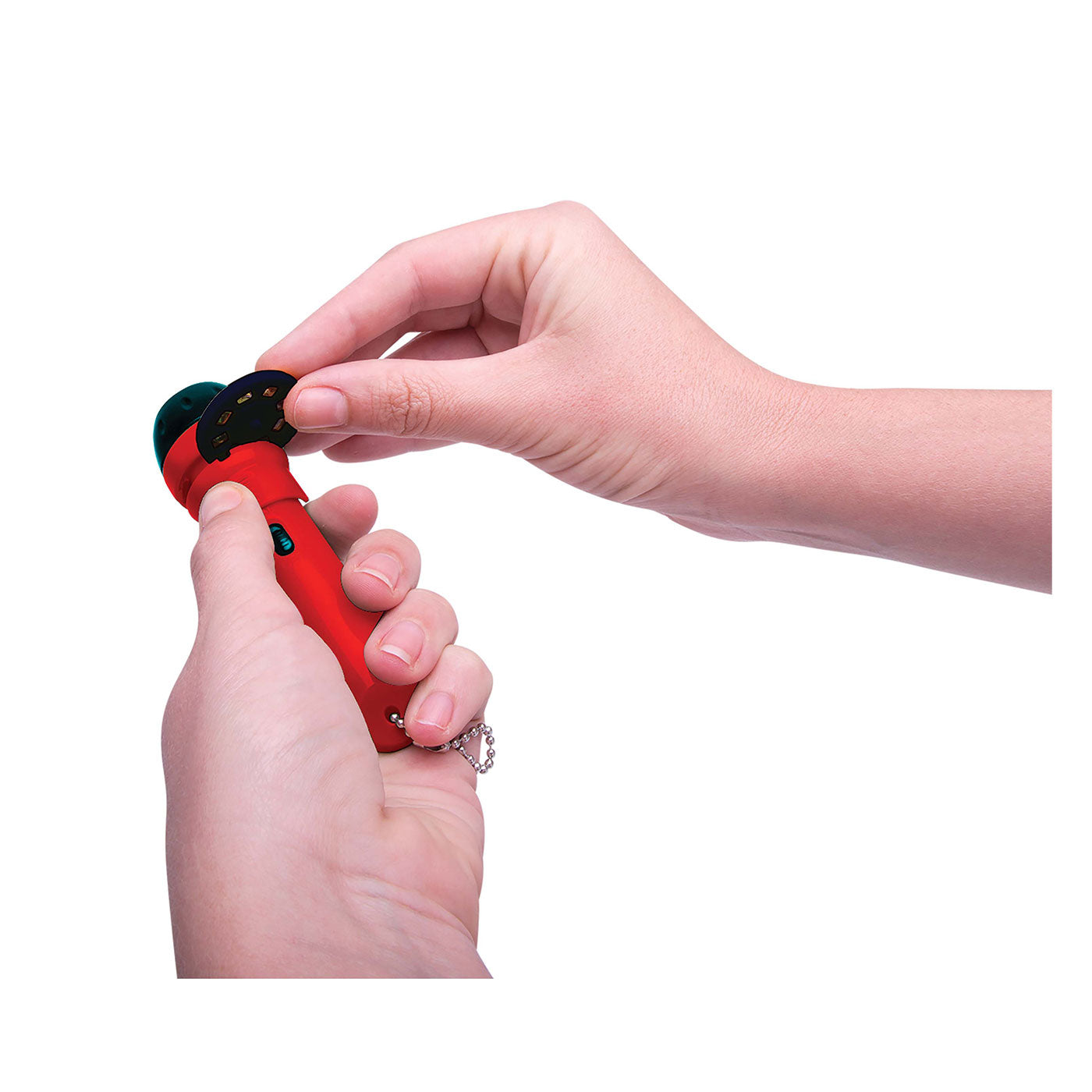 Wild Bite & Sting Torch Projector — Australian Geographic