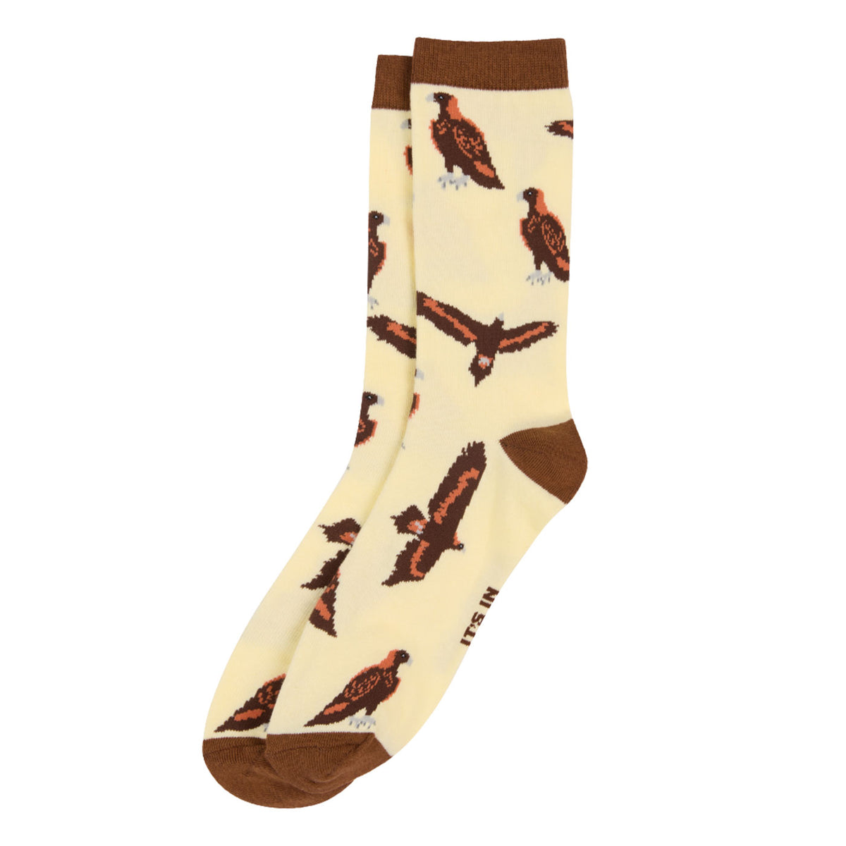 Sydney Sock Project Wedge Tailed Eagle Adult Socks — Australian Geographic