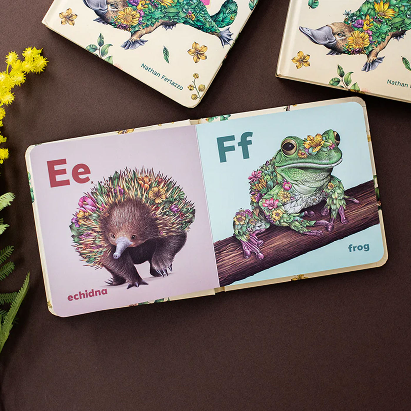 Educational Books for Kids - Australian Geographic