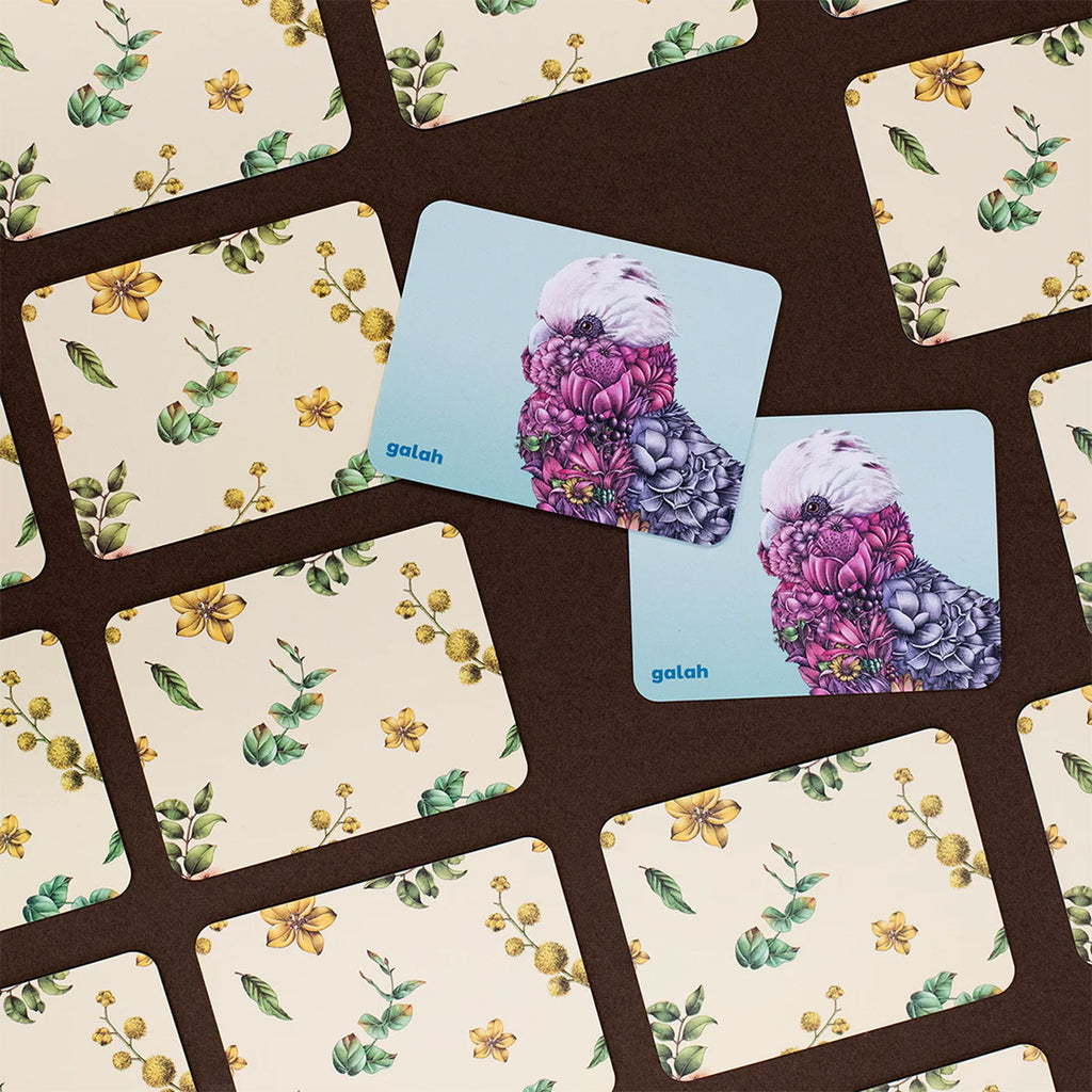 Marini Ferlazzo Gifts | Australian Geographic Shop