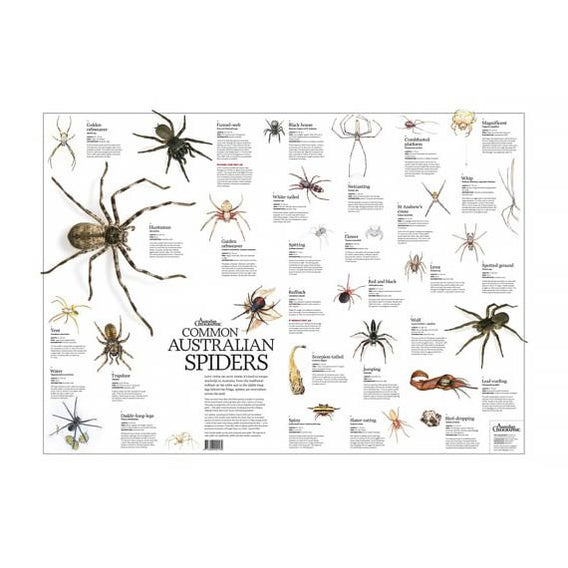 Posters & Maps – Australian Geographic
