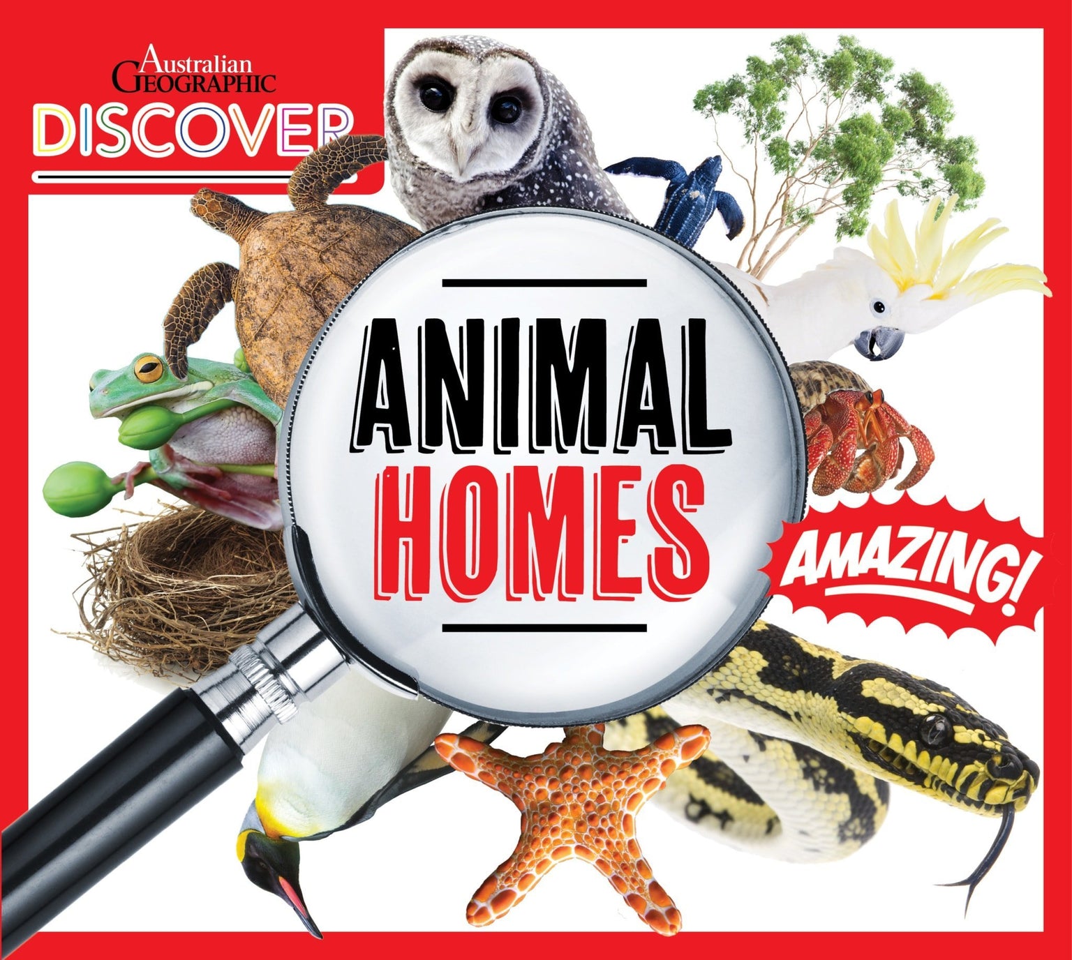 Australian geographic shop online