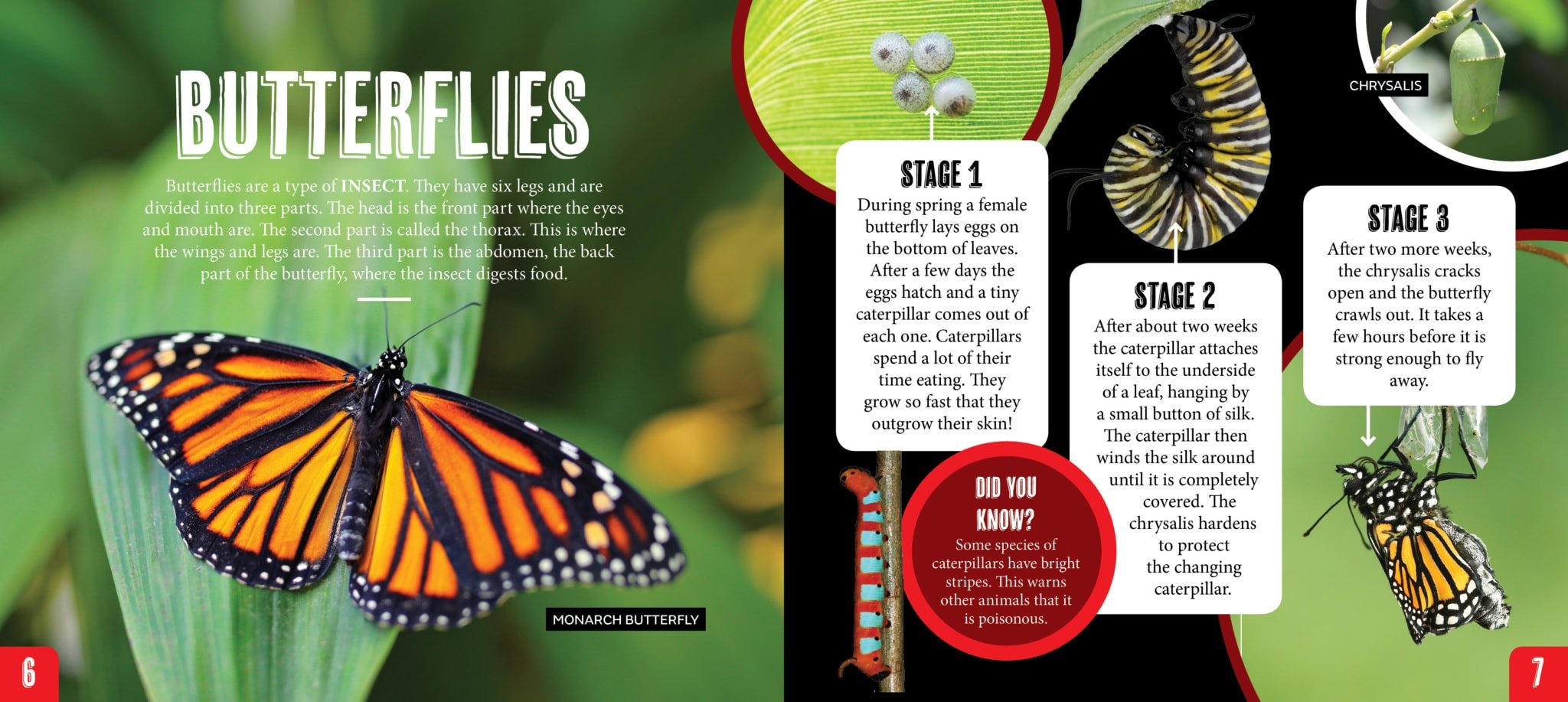 Australian Geographic Books | Buy Online