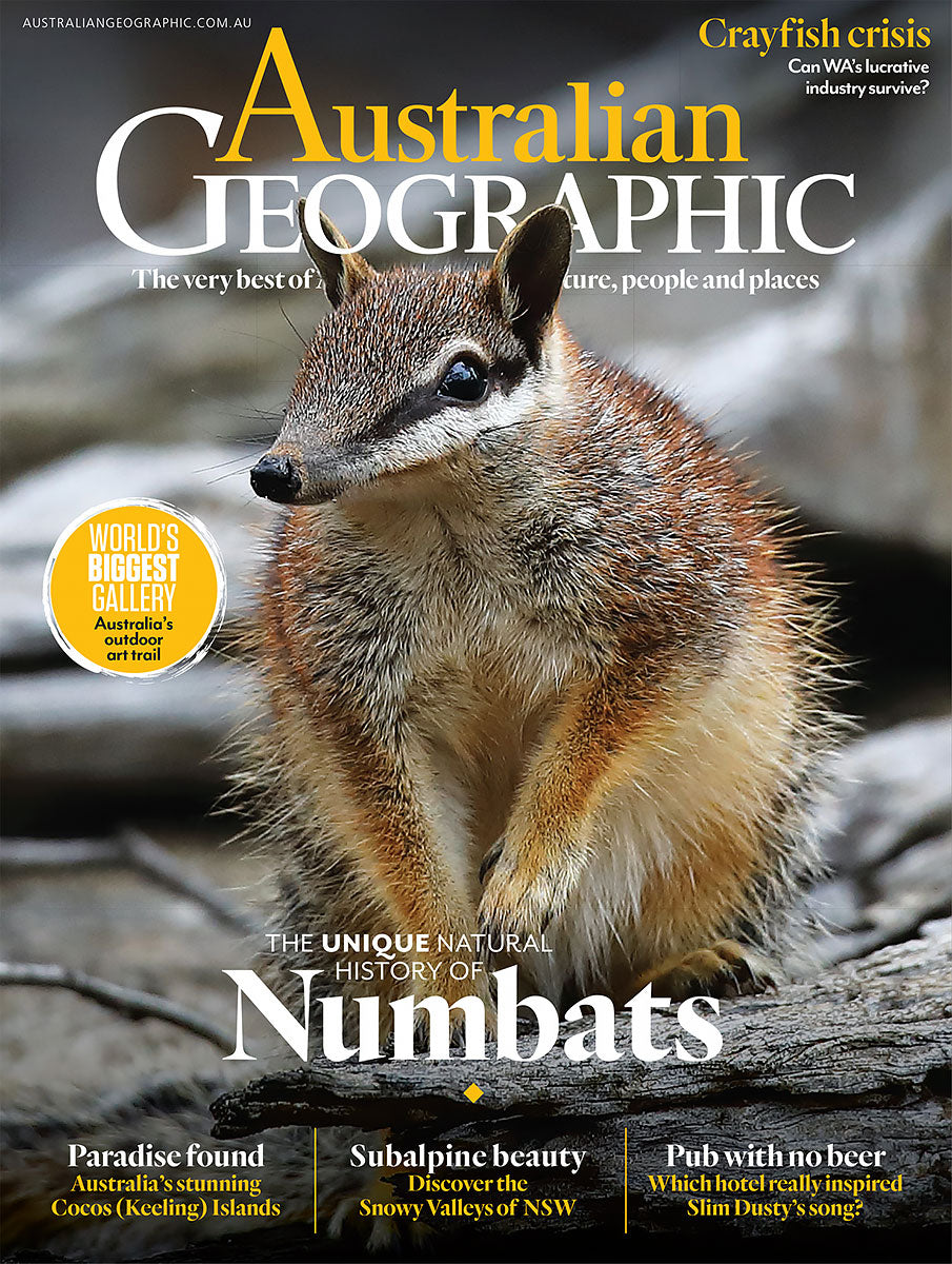 Australian Geographic Magazine - Issue 163 - July/August 2021