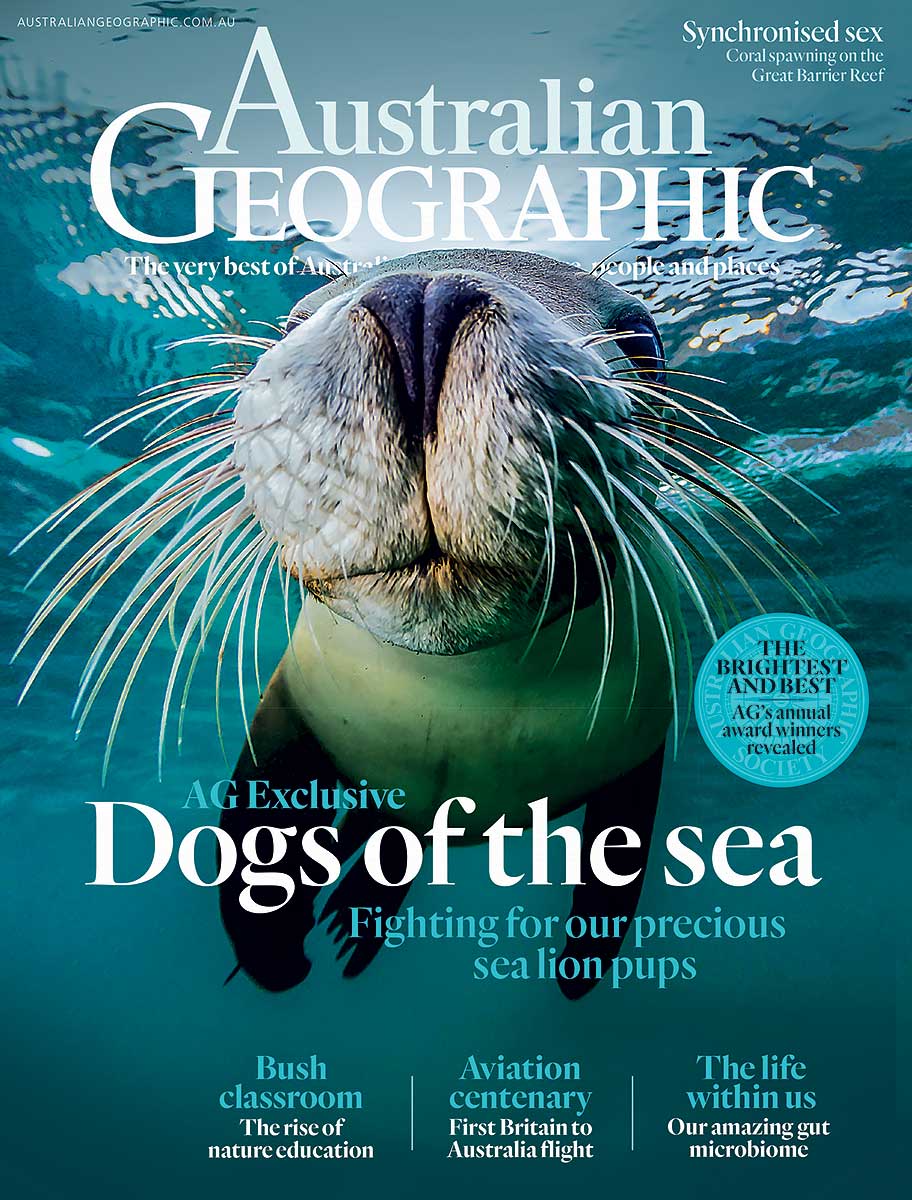 Australian Geographic Magazine - Issue 153 - November/December 2019