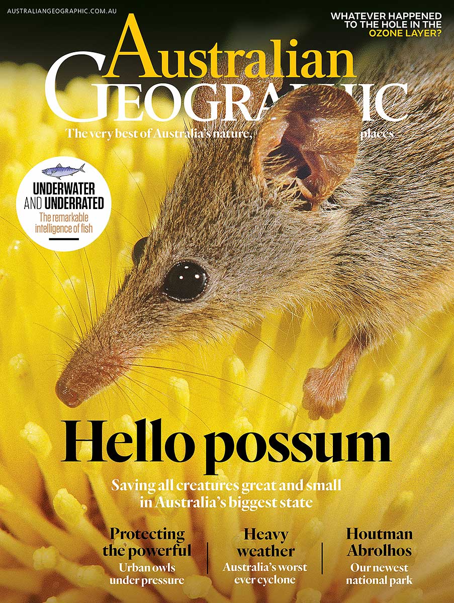 Australian Geographic Magazine - Issue 154 - January/February 2020