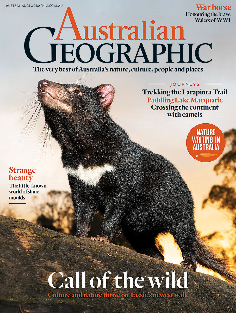 Australian Geographic Magazine - Issue 161 - March/April 2021