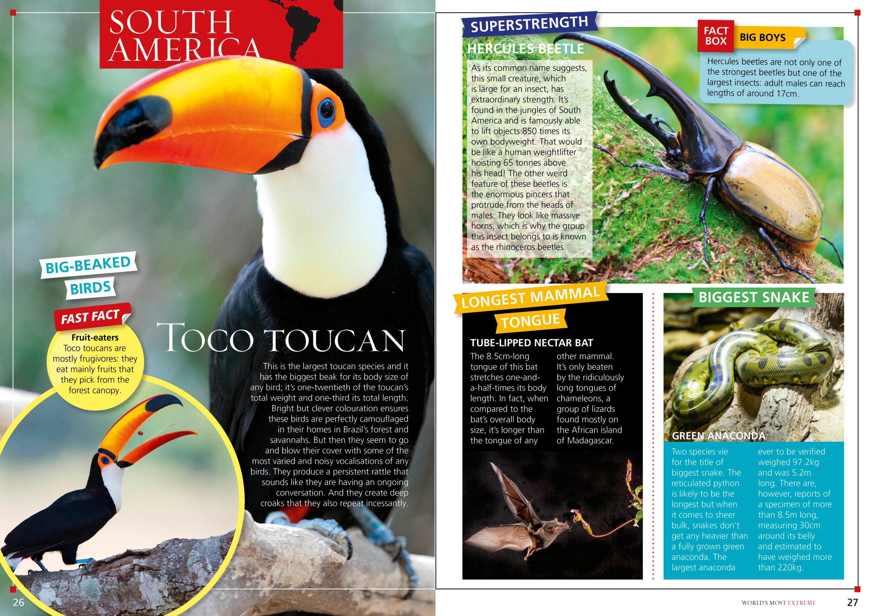 World's Most Extreme — Australian Geographic