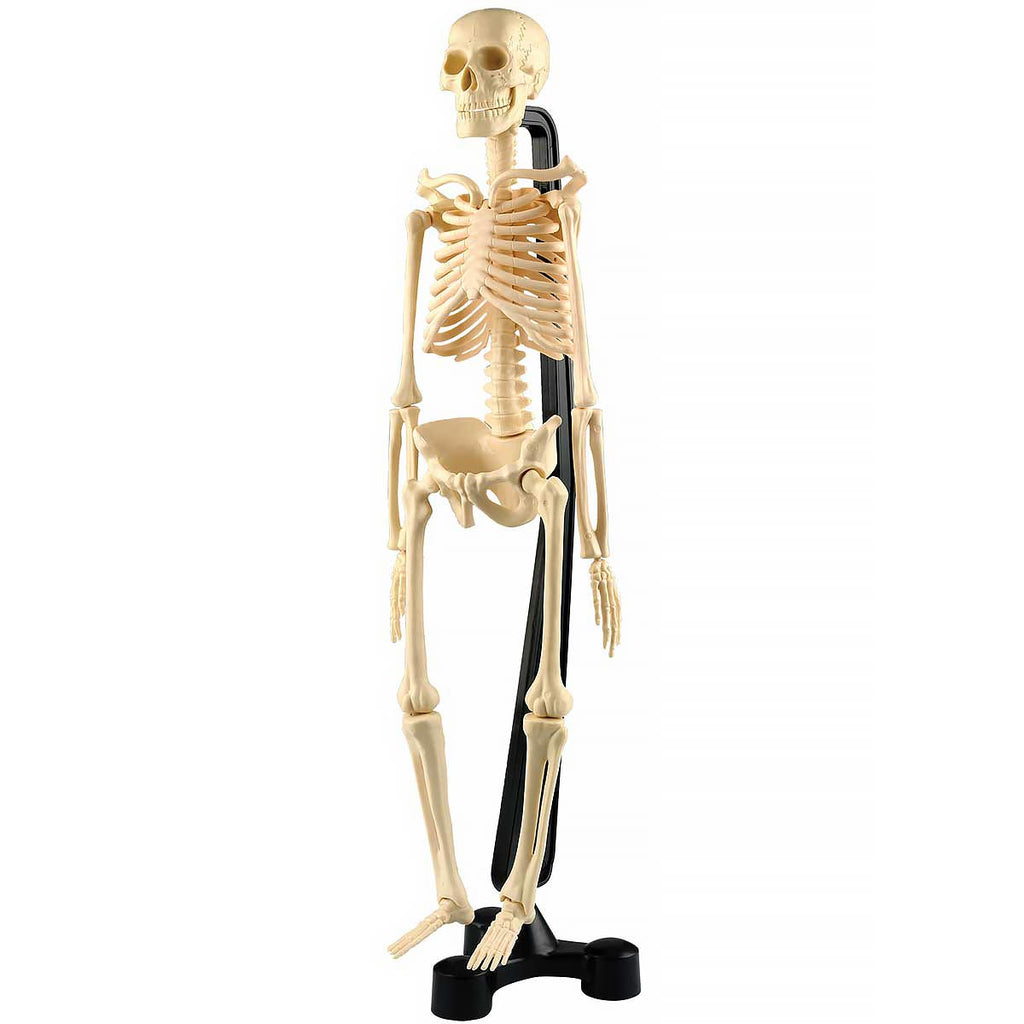 Shop Fun & Educational Kids' Toys – Australian Geographic — Page 5